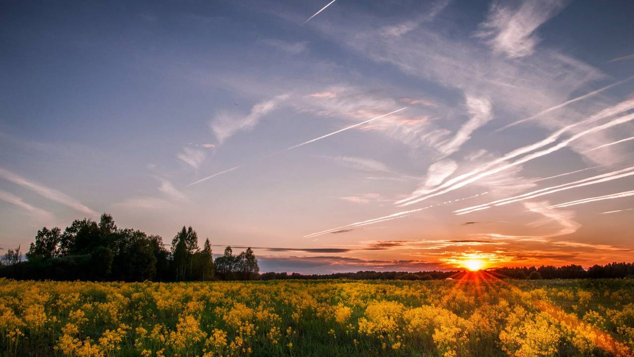 Небом посланная-ст.М.Погореловой,муз и исп.А.Захарова,монтаж В. Зубковой