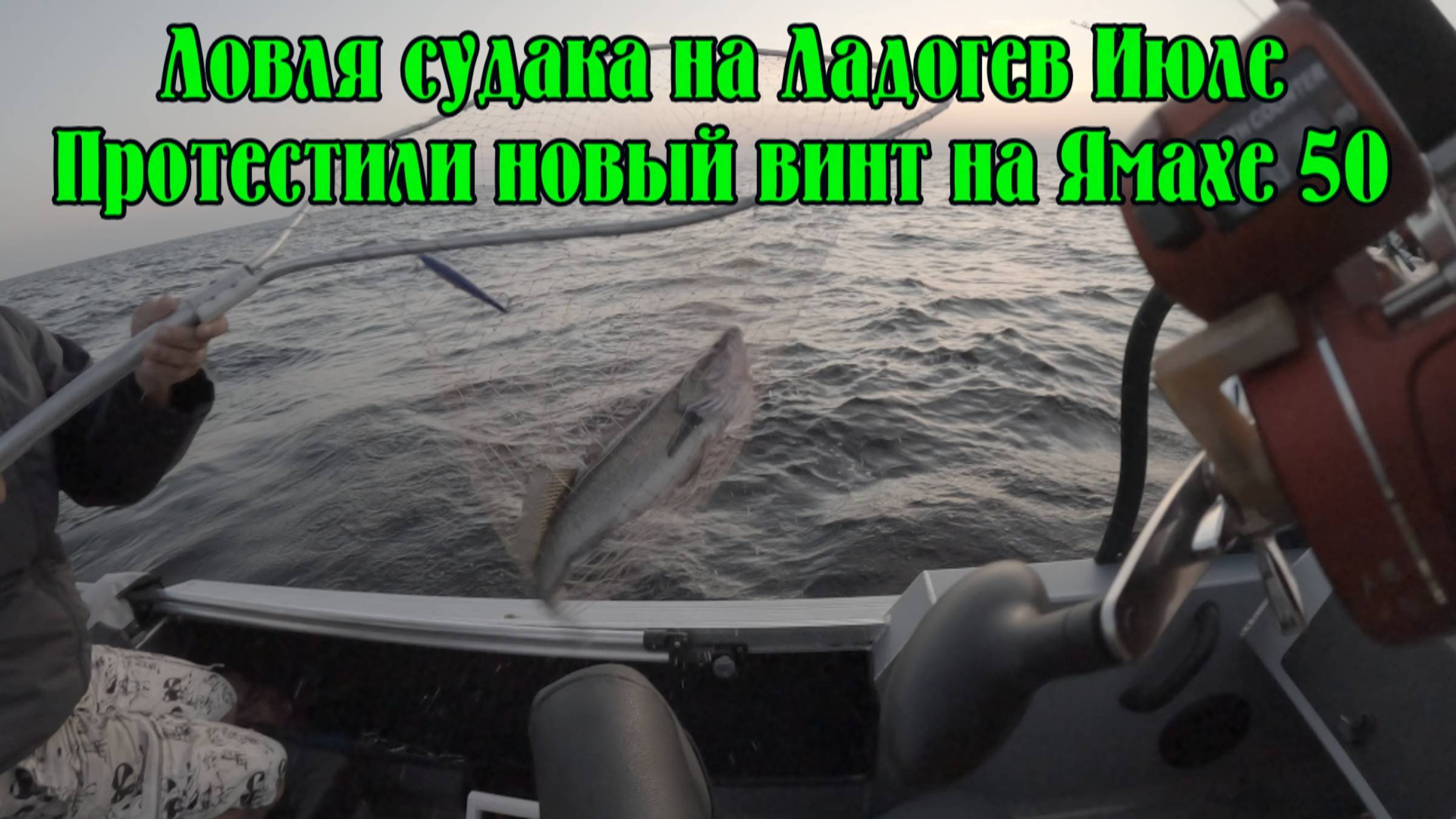Ловля судака на Ладоге в Июле. Креницы. Протестили новый винт на новом лодочном моторе Ямаха F50Letl