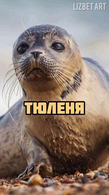 Рисую несуществующее животное🦎+🦦=❓(ч.105) #tiktok #shorts #art #gouach