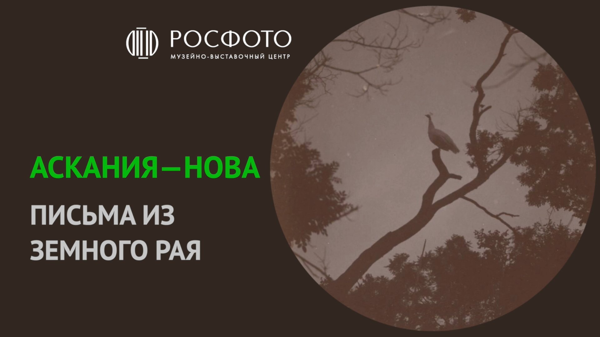 Документальный фильм «Аскания-Нова. Письма из земного рая»