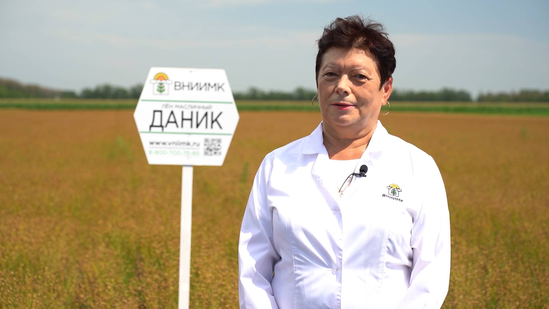 Даник: Лен масличный