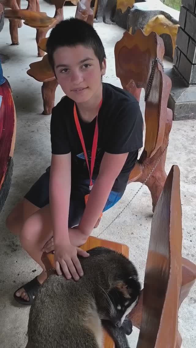 Вьетнам. Куница какает кофе Лювак, Капибары, деревья Кофе, экскурсия в Далат.Тутси@tutsi-dieti