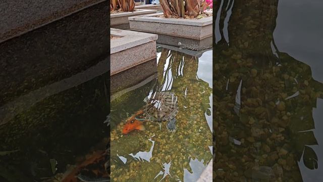 Кусочек Вьетнама в центре Москвы август 2025