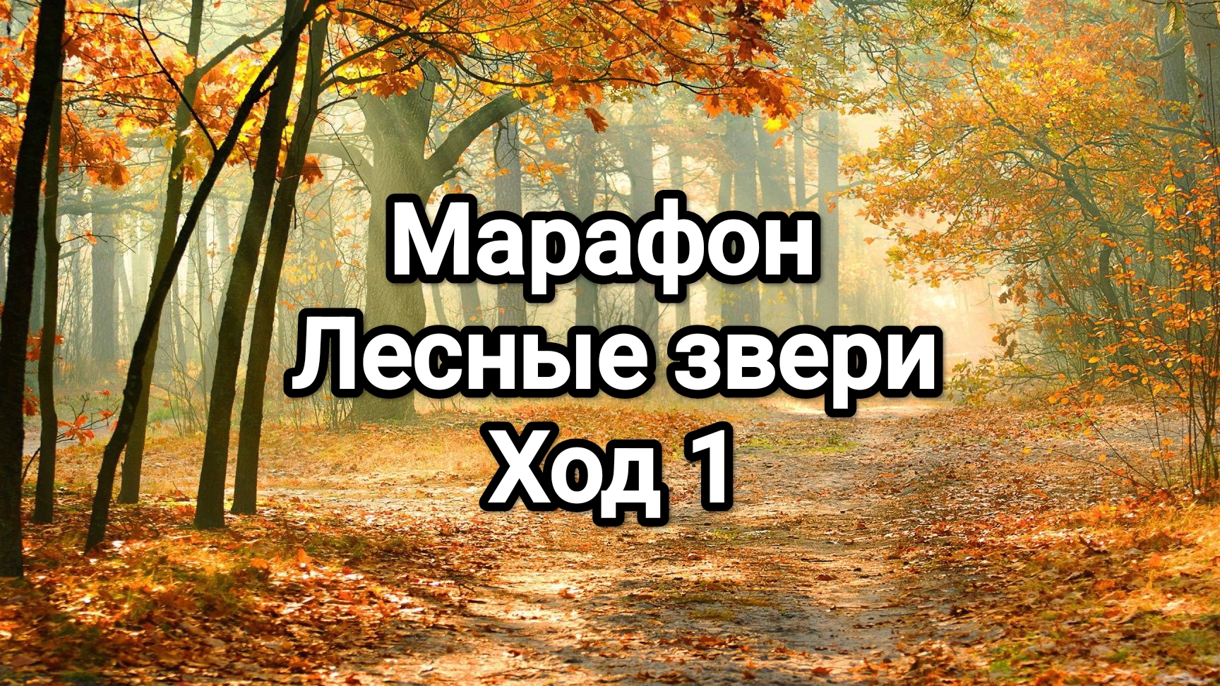 Марафон Лесные звери, ход 1