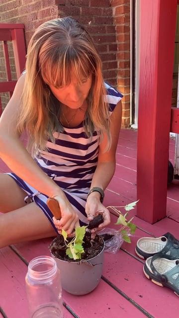 доставка малины, это трындец сюрприз, такого я никак не ожидала.