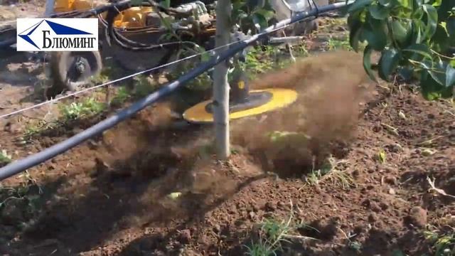 Грунтофреза садовая БЛ-170 (для сада и виноградника )