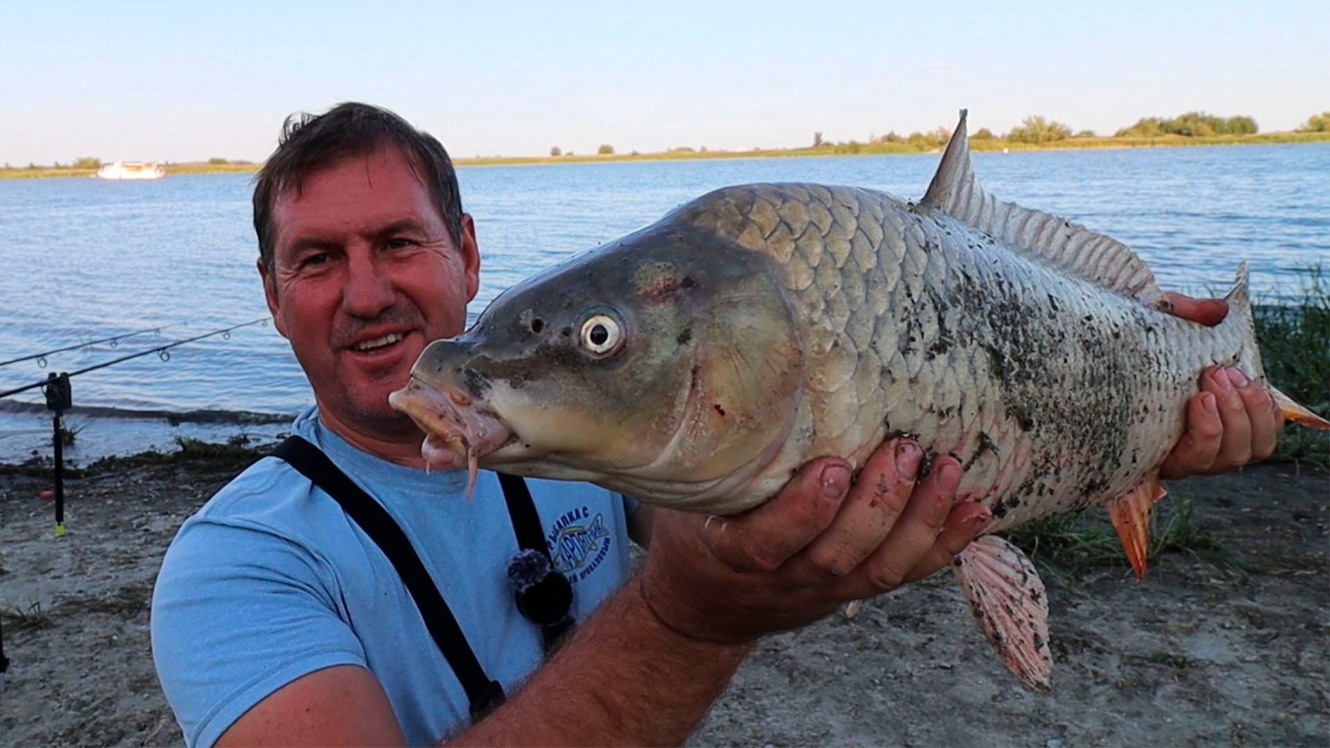 Здесь тонны рыбы! Постоянные поклевки Донского сазана!