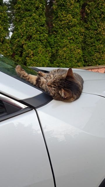 тебе так  удобно?