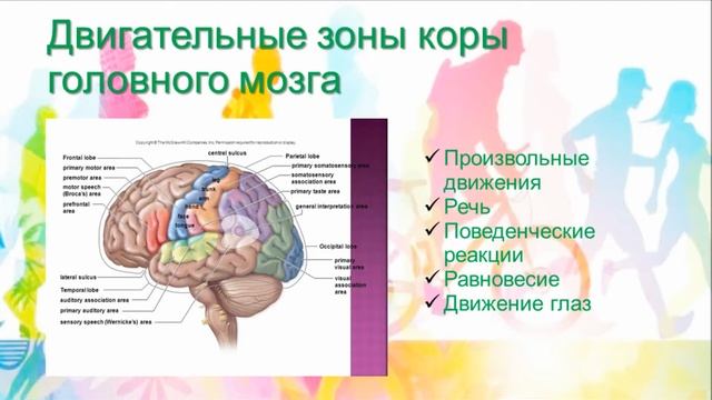 ＂Двигательная активность＂