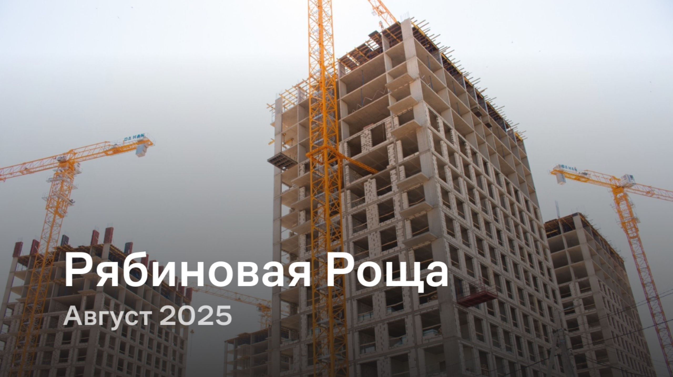 «Рябиновая Роща» / август 2025