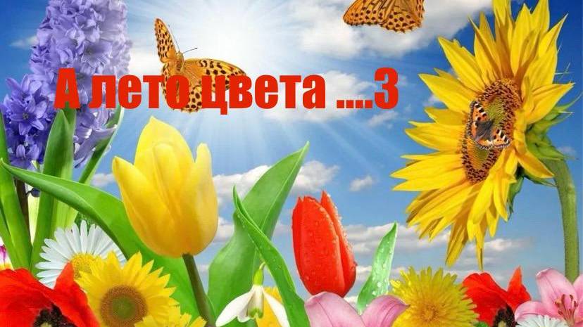 А ЛЕТО ЦВЕТА ....3 ИТОГИ