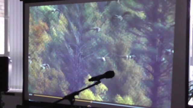 Романс для вас (стихи Раим Фархади)