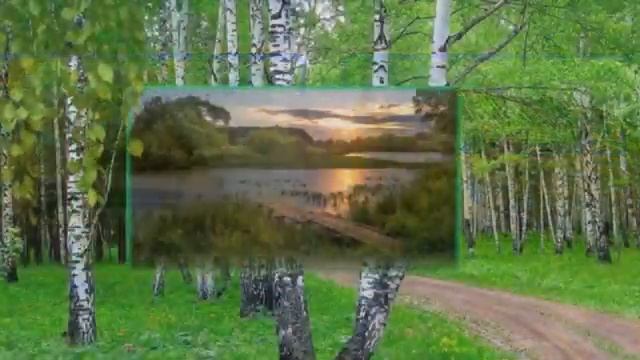 Старый дом Александр Гетынгер Автор видео Нина Рудакова