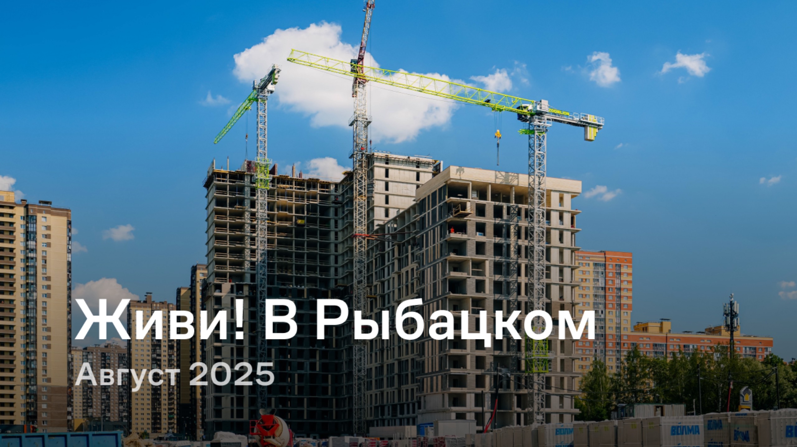 «Живи! В Рыбацком» / август 2025