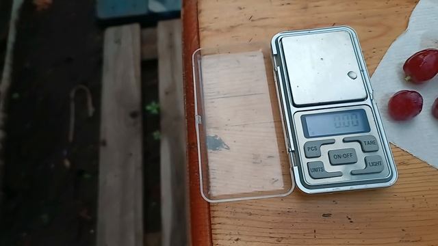 г.ф. ДЫНЬКА Писанки О.М. на 02.09.2025 года