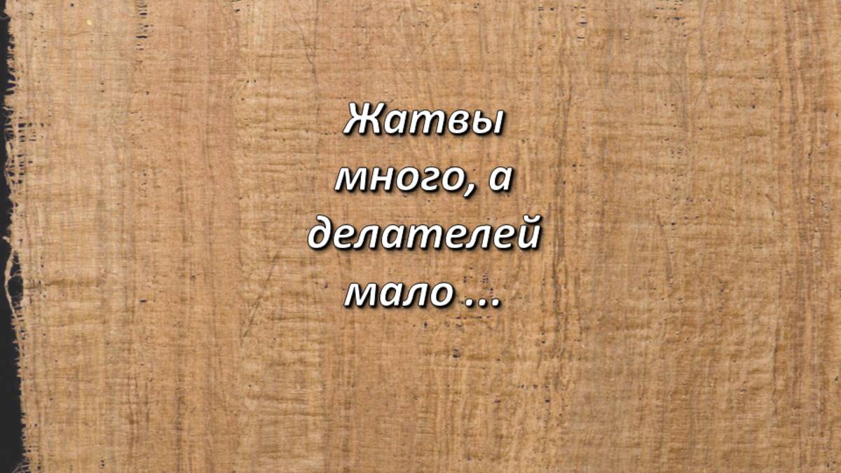 От Матфея, 9;35-38. Жатвы много, а делателей мало.