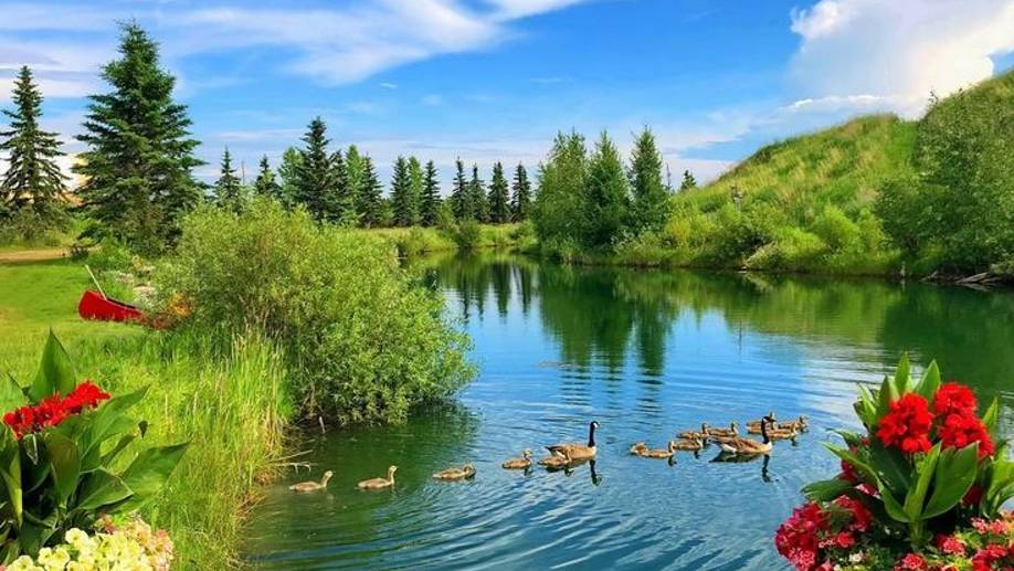 Кусочек нашего лета. Сказочная Вихляндия, развлечения на даче и не только.