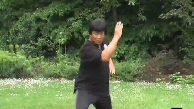 Обзорный фильм Иньши Багуачжан Хэ Цзиньбао на русском языке