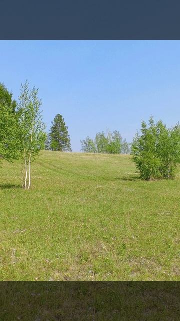 Фото от Владимира Маркова