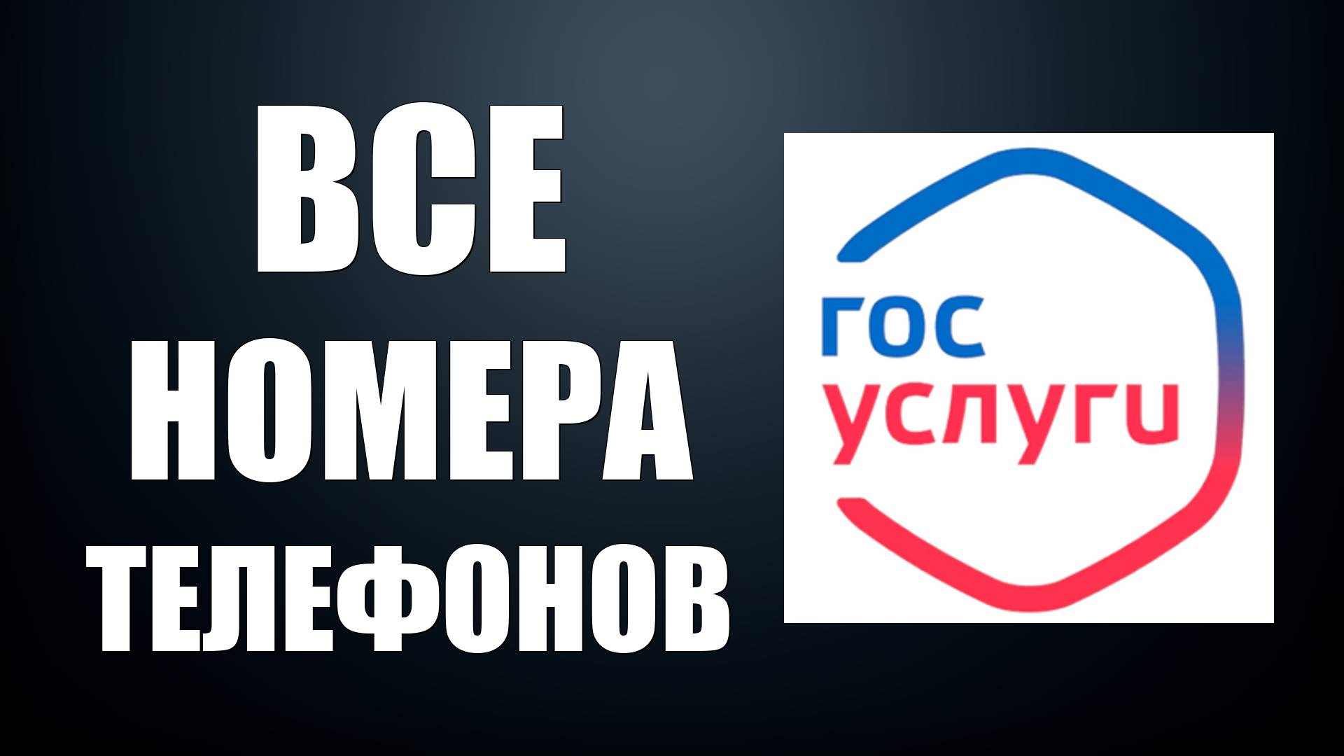 Госуслуги 2025: Как Найти Все Свои Номера Телефонов. Где Посмотреть свои Телефоны и Удалить лишние