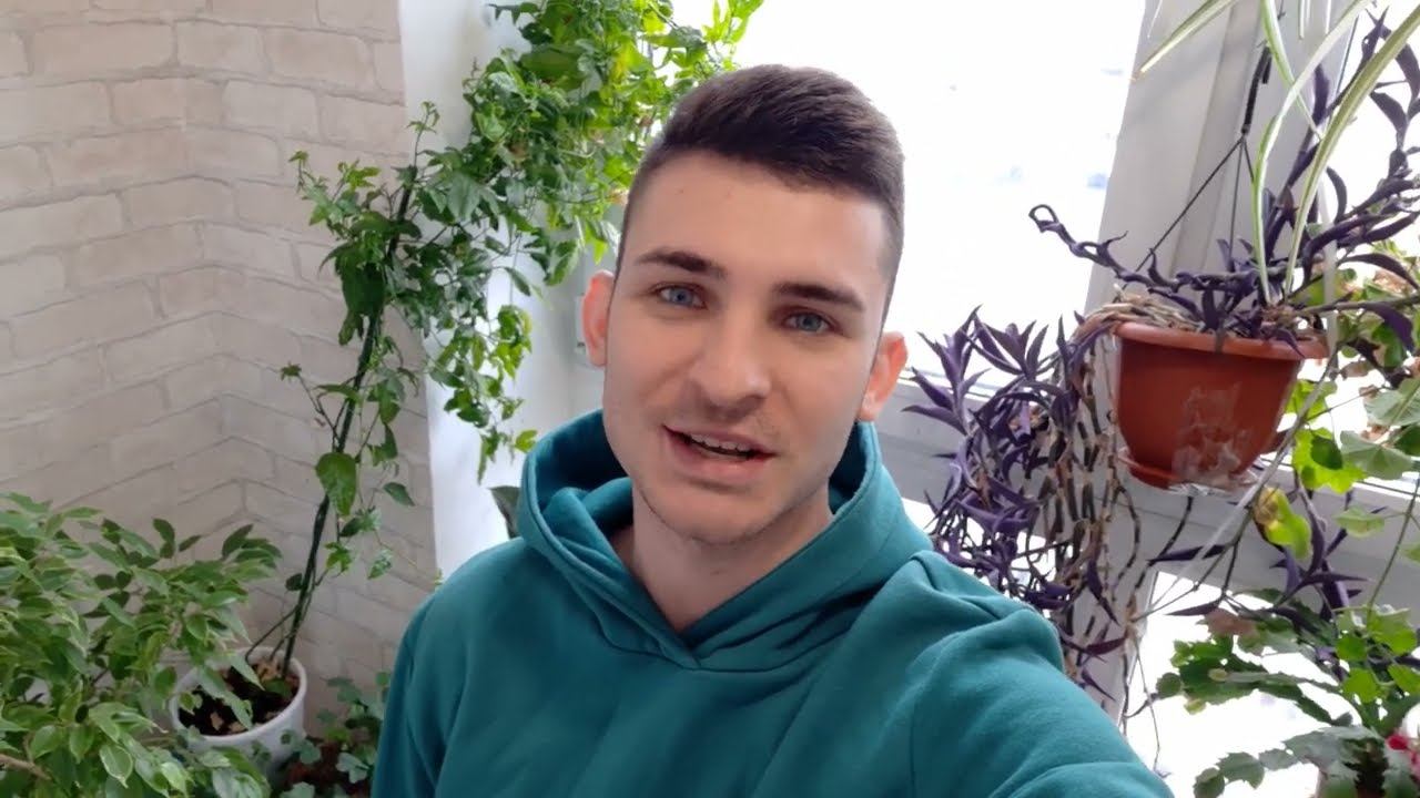 2 ур Дружбы  Символ дружбы