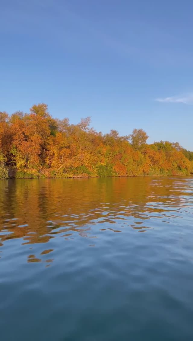 КРАСОТА ОСЕНИ НА ДОНУ #shorts