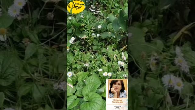 Жуковский Песня на стихи Натальи Гончаровой  Господи спаси