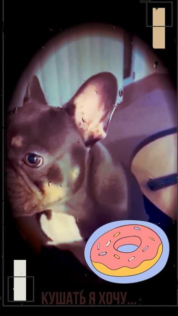 музыка видео юмор