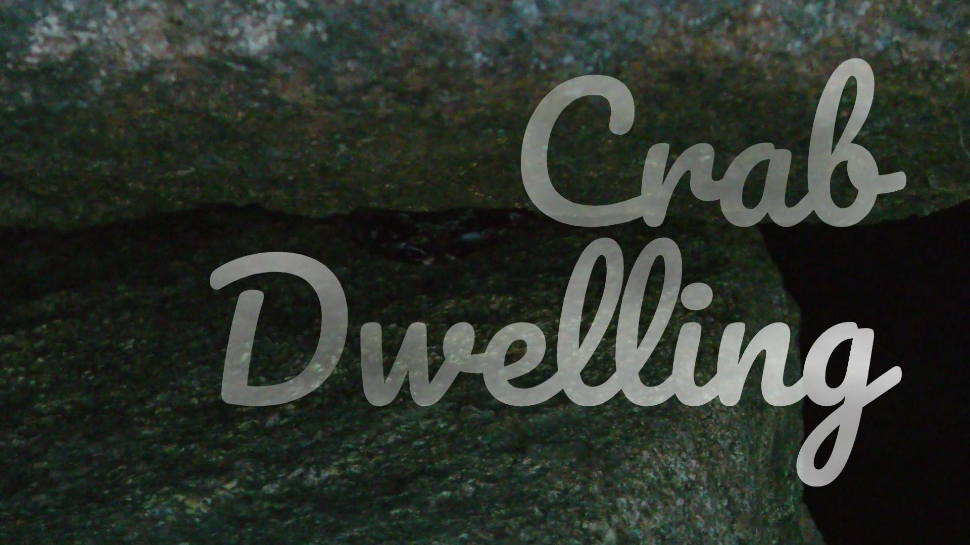 Crab dwelling