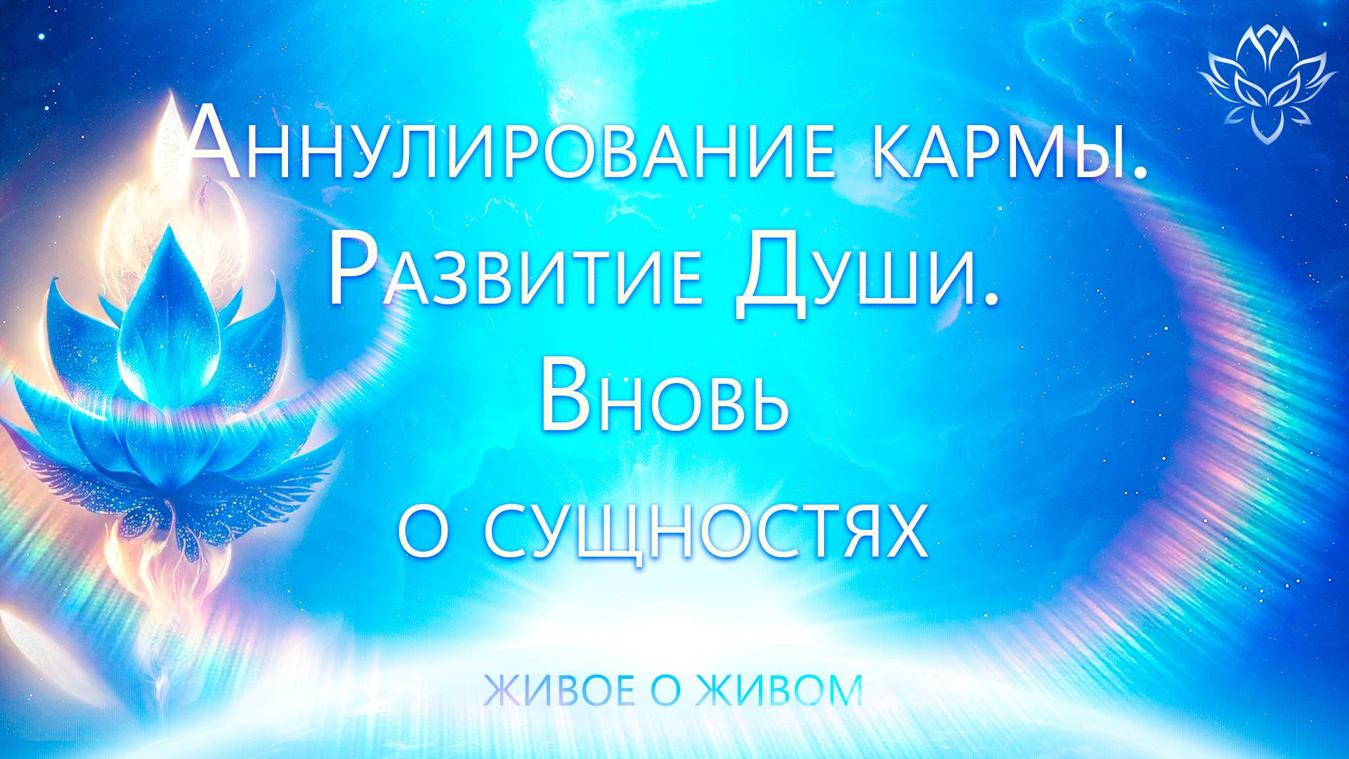 Аннулирование Кармы. Развитие Души. Сущности