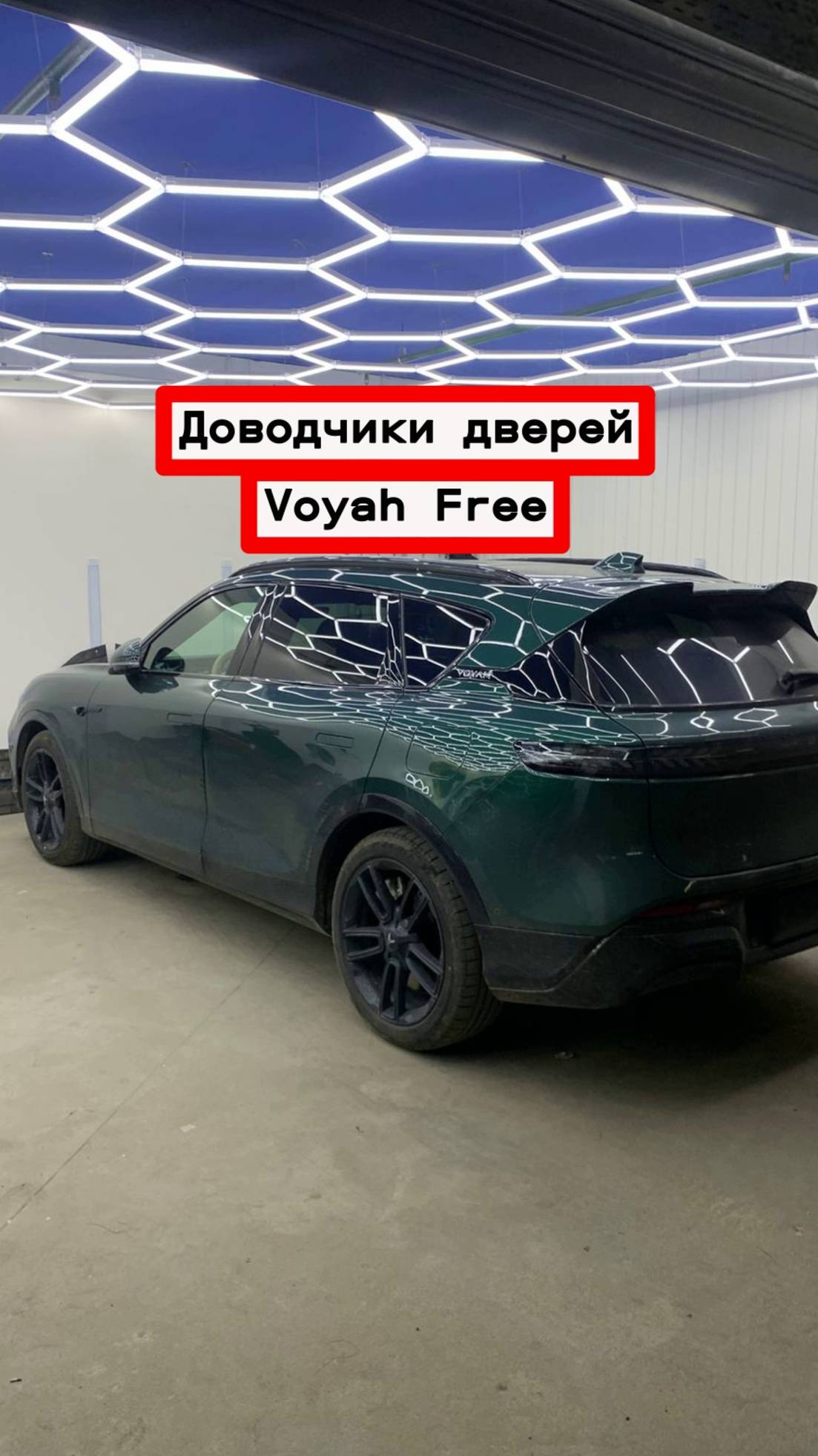 Доводчики автомобильных дверей Voyah Free