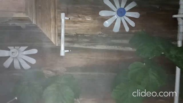 Провожаем Лето 2025, Идёт дождь, Перетоп Бани,  Созрел Виноград, Последний укос Травы в этом году