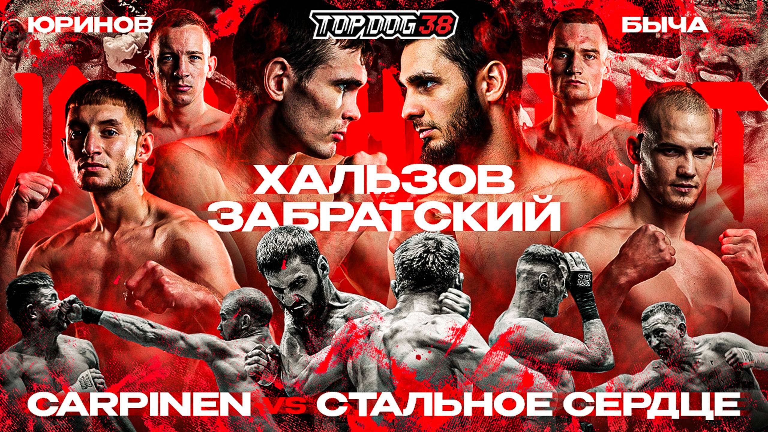 Хальзов VS Забратский, Carpinen VS Стальное Сердце, Юринов VS Быча | TOP DOG 38, Казань