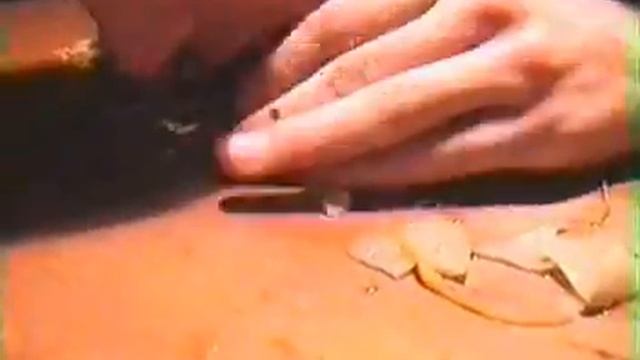 Сектор Газа - Война (Только б небыло войны)