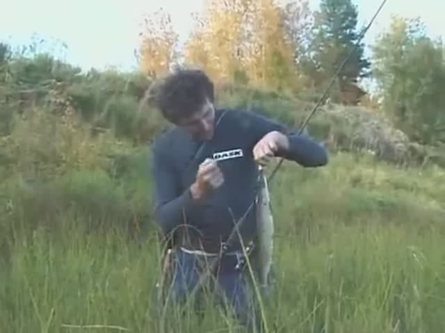 Как, где и на какие приманки ловят летом Щуку-травянку (Common pike) — Esox lucius Linnaeus, 1758 ?