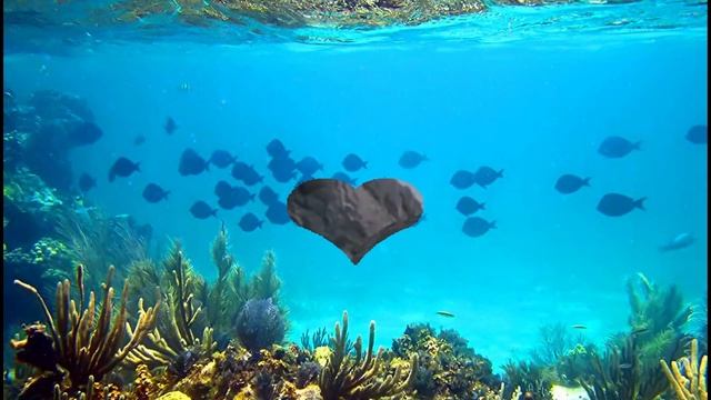 Видео обзор книги "Человек-амфибия"