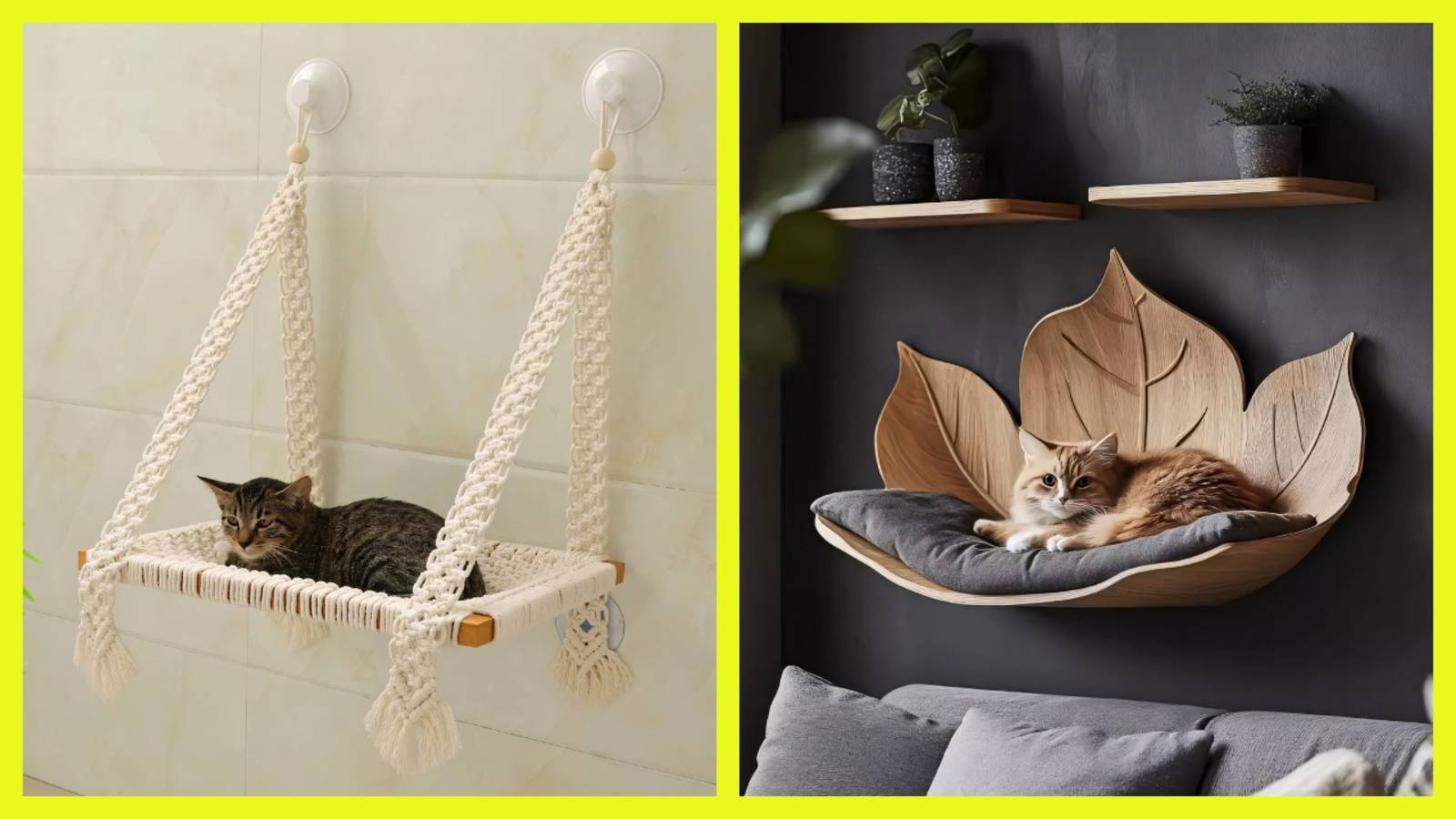 Настенная лежанка для кошек: кошачий рай у вас дома 😻🏠