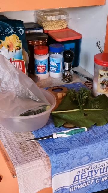 Малосольные огурцы