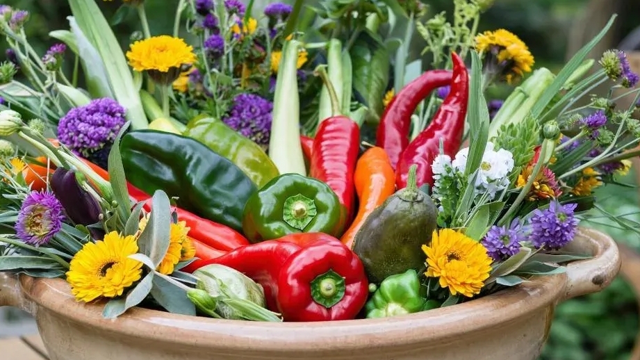 Муж будет в восторге. Высаживаем рассаду горького перца.