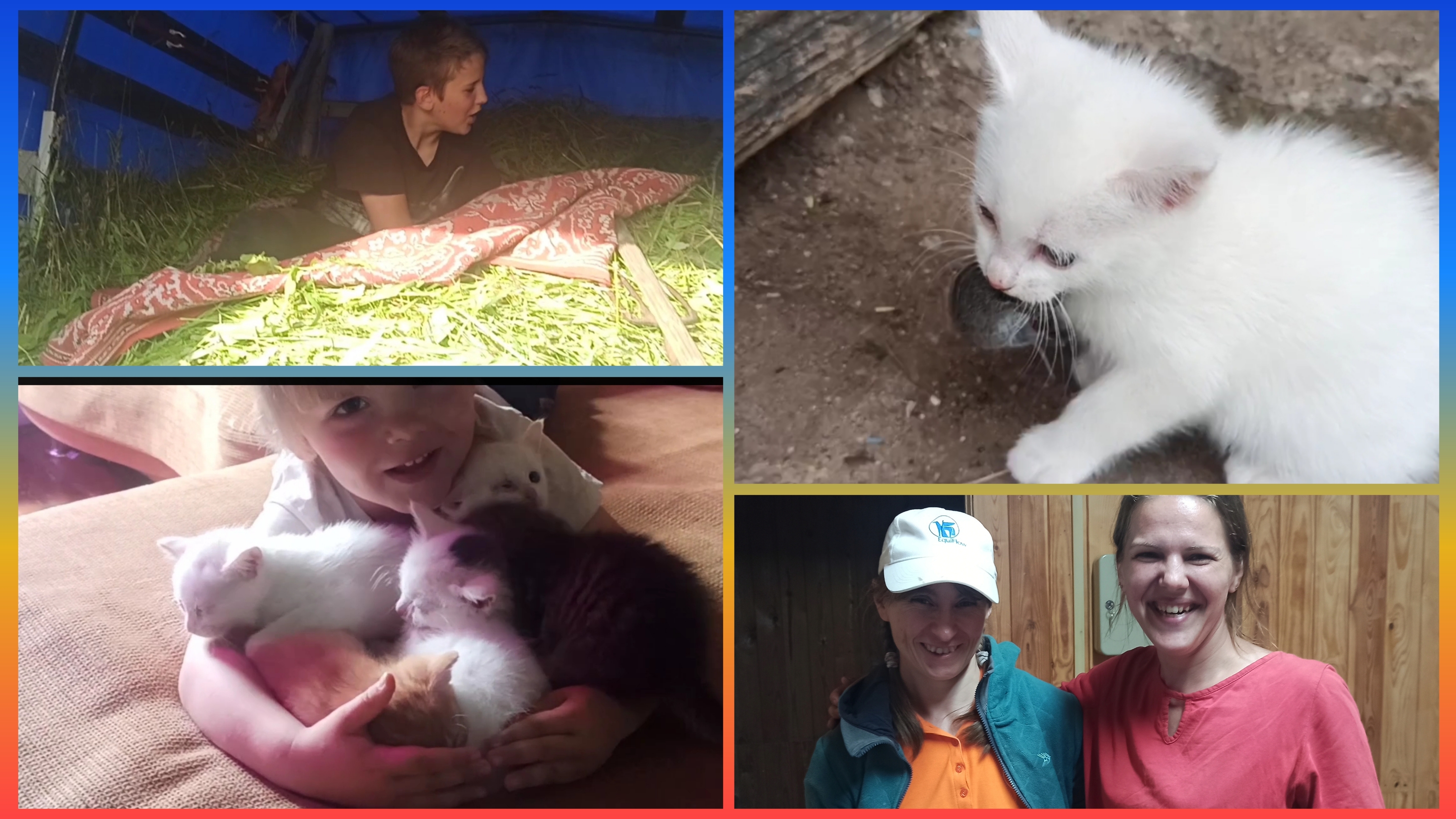 Косили сено и оплакивала бройлеров.