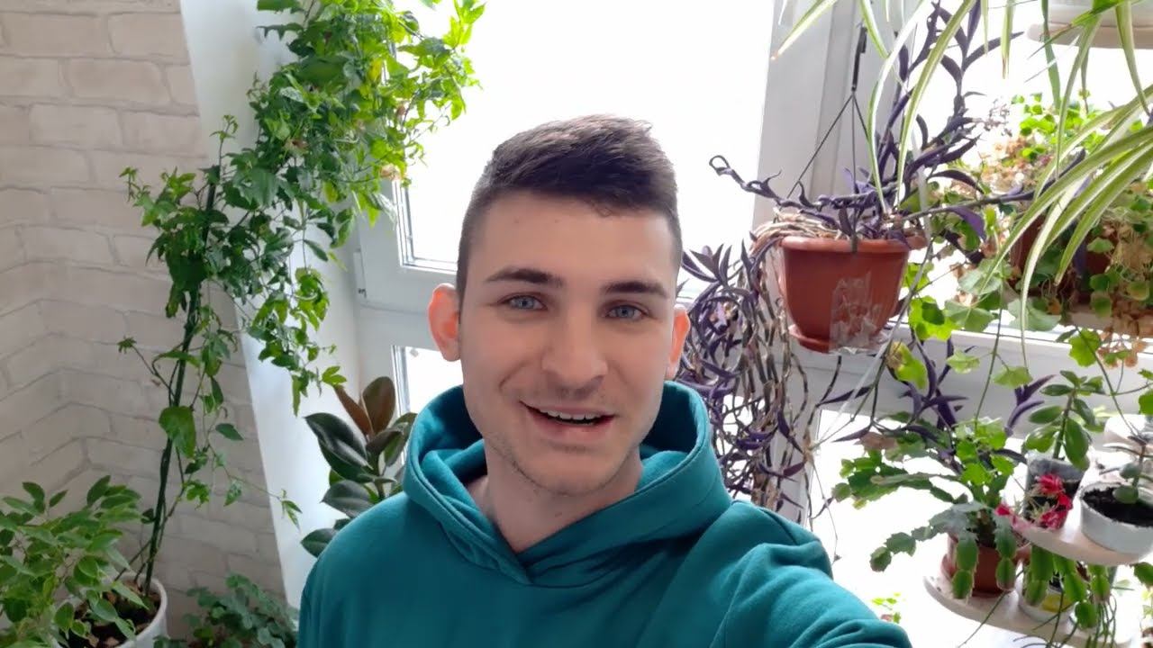 2 ур Дружбы  Сделать полезный подарок