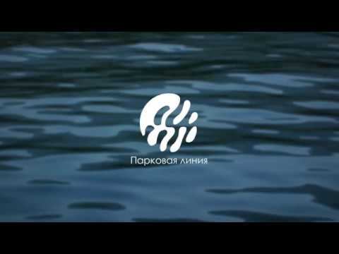 Новый парк в центре Петербурга.