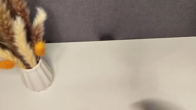 Бешеные крючки на рутуб. Итоги