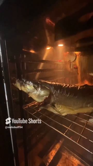 🔥👍Деликатесы из коптильни #федотов #рыба #нельма