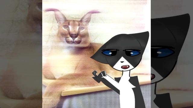 -(🐺🤟) -💥нэв новости канала🥳