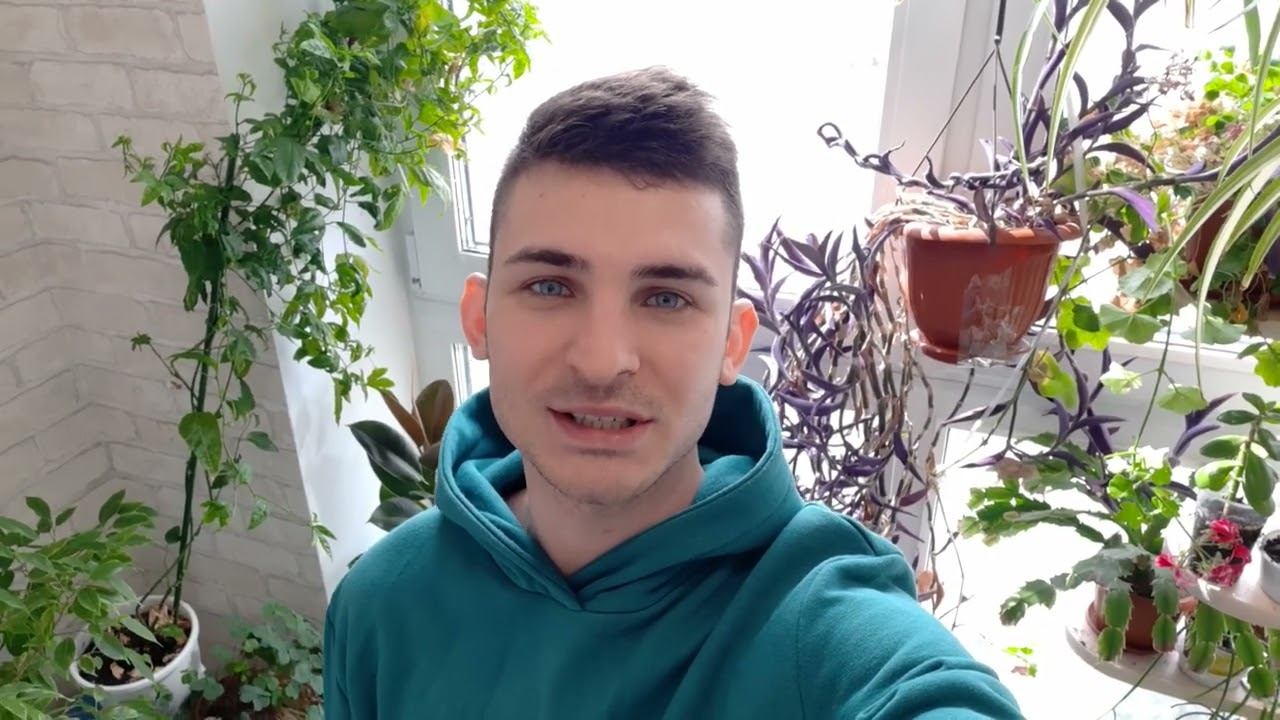 2 ур Дружбы  ПРИТОРМОЗИ!