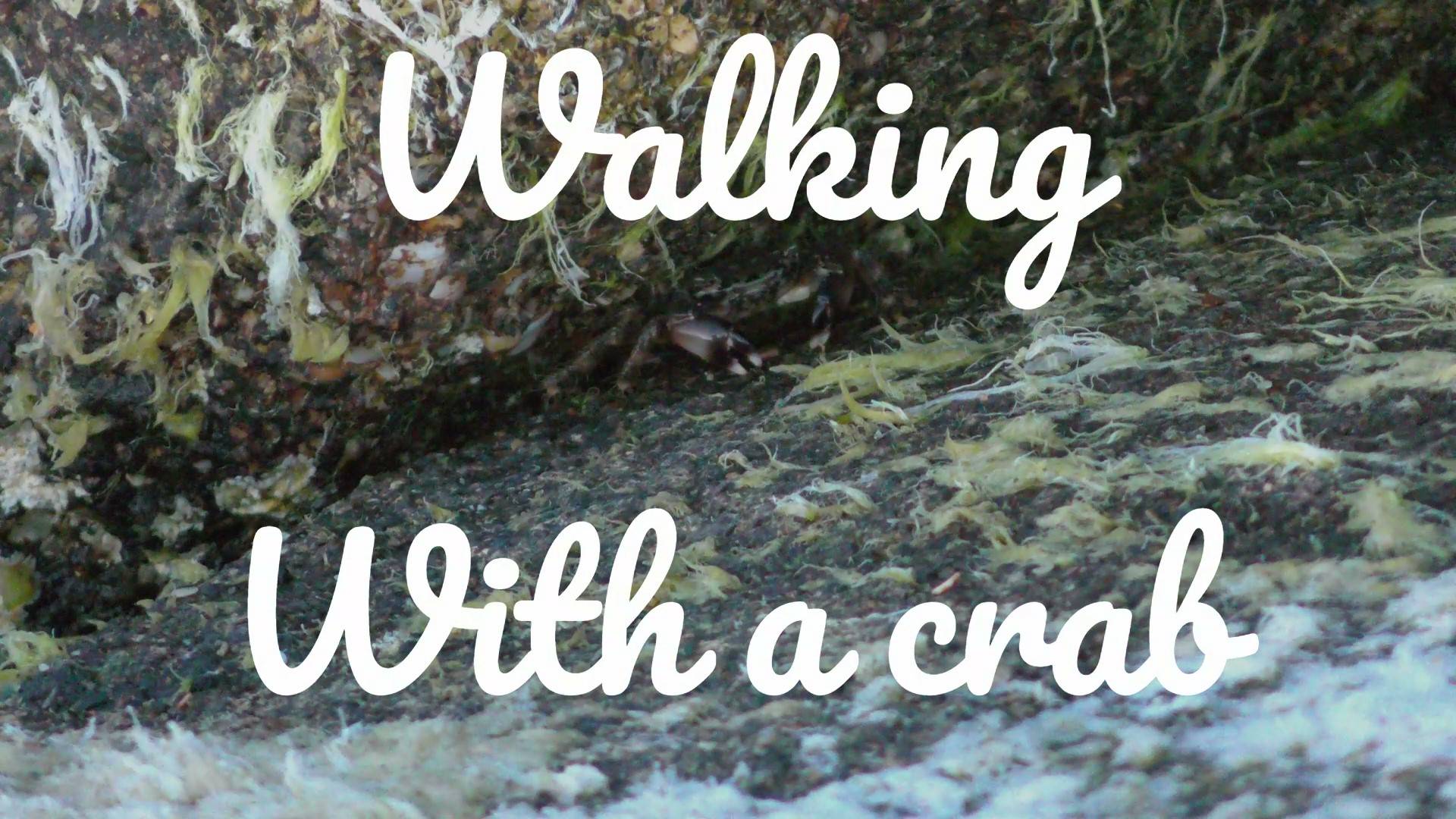 Walking with a crab