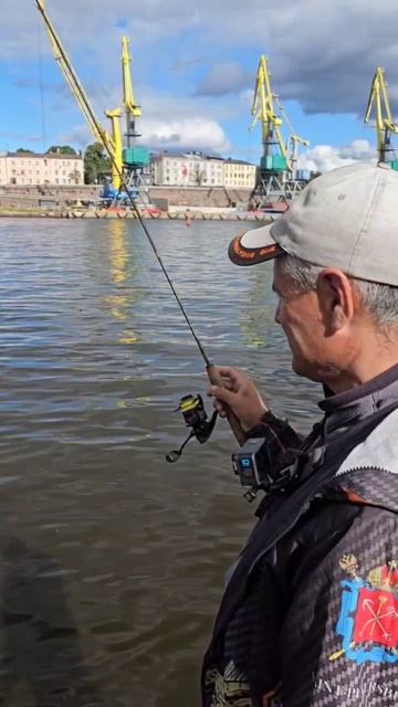 Превратности городской рыбалки