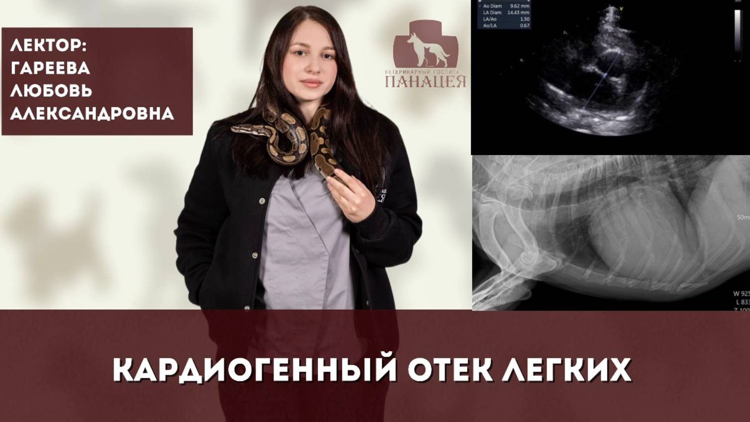 Кардиогенный отек легких у животных