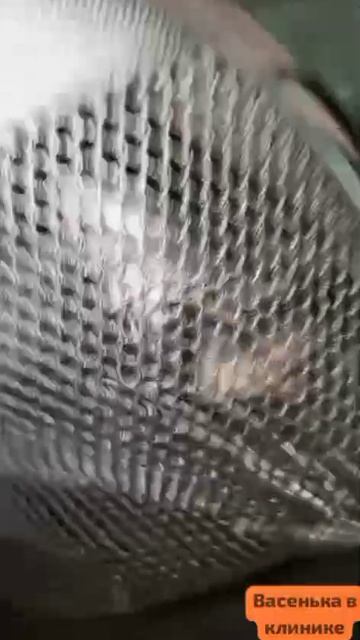 Беглец пойман и  доставлен в клинику.